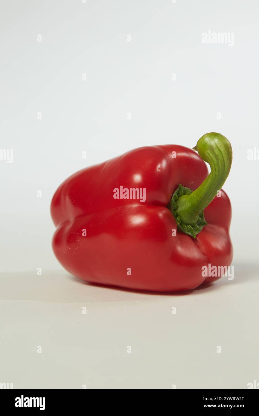 Red paprika on white background Stock Photo - Alamy