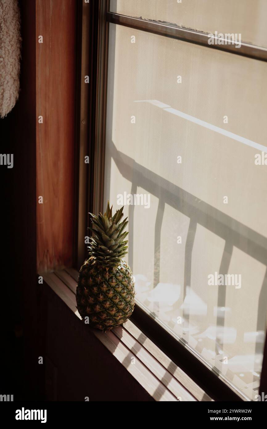 Food window hi-res stock photography and images - Alamy