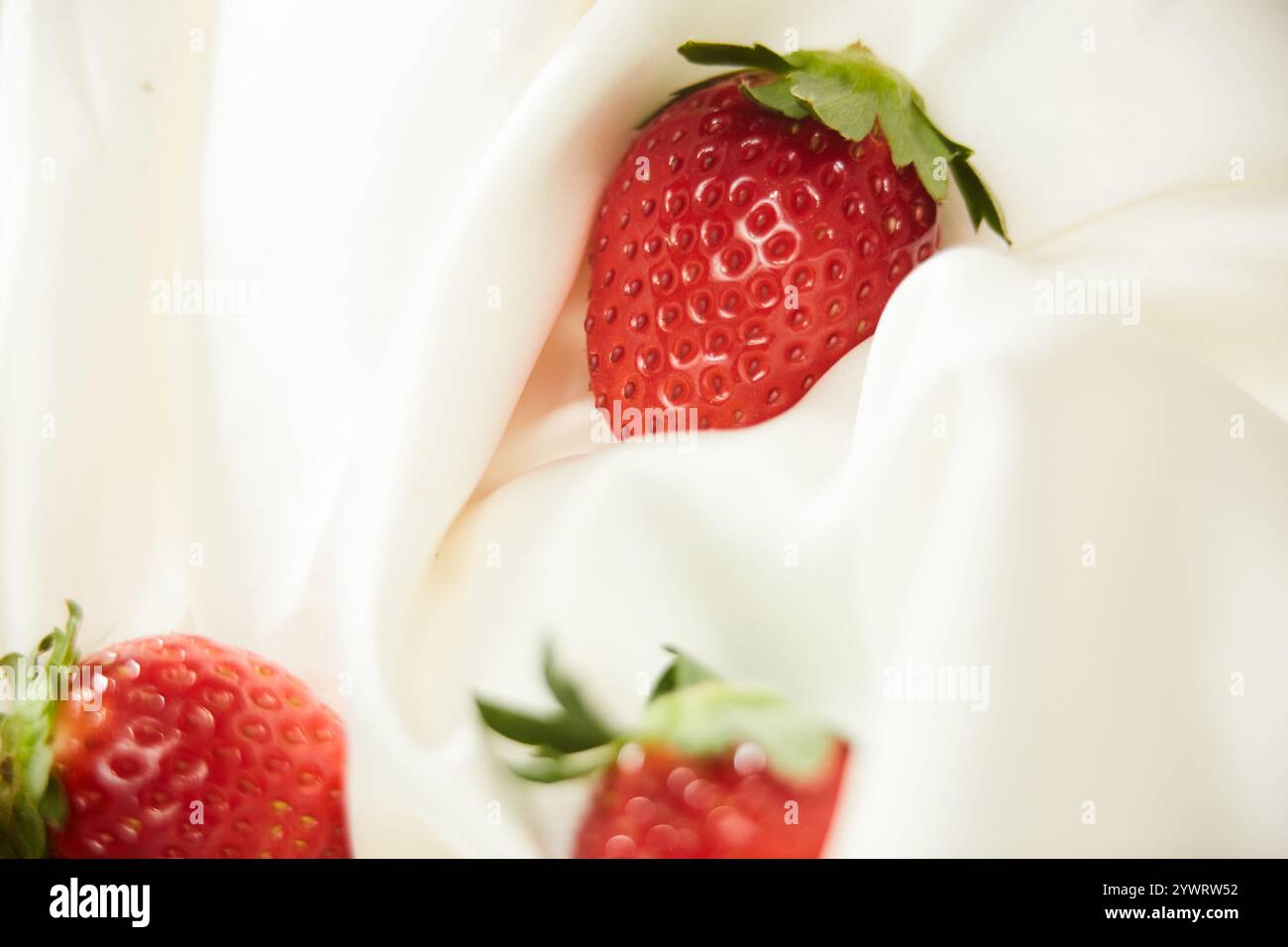 Multiple strawberries wrapped in white cloth Stock Photo - Alamy