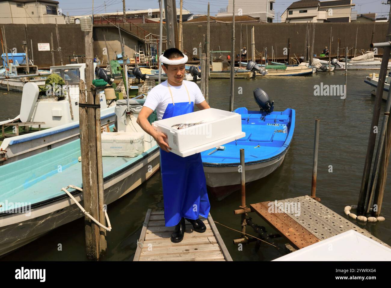 Fresh fish shopkeeper carrying fish at the harbour Stock Photo - Alamy