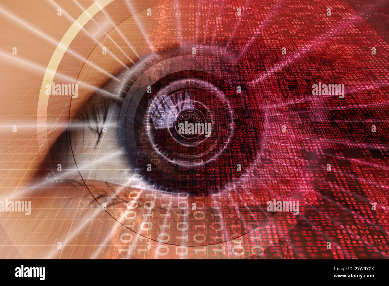 AI, artificial intelligence, deep learning, image recognition, machine ...