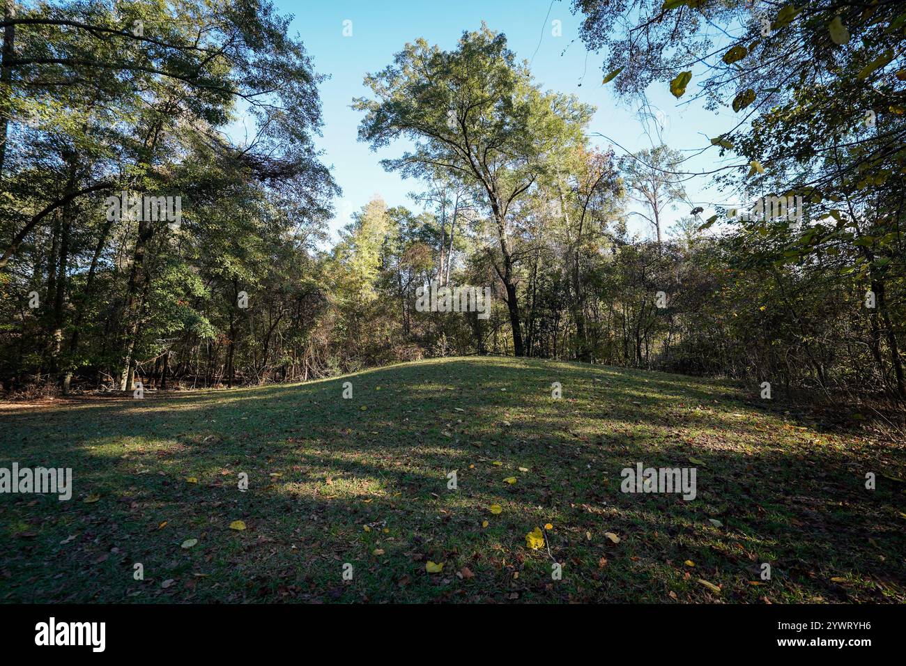 The Southeast Mound at Ocmulgee Mounds National Historical Park is seen ...