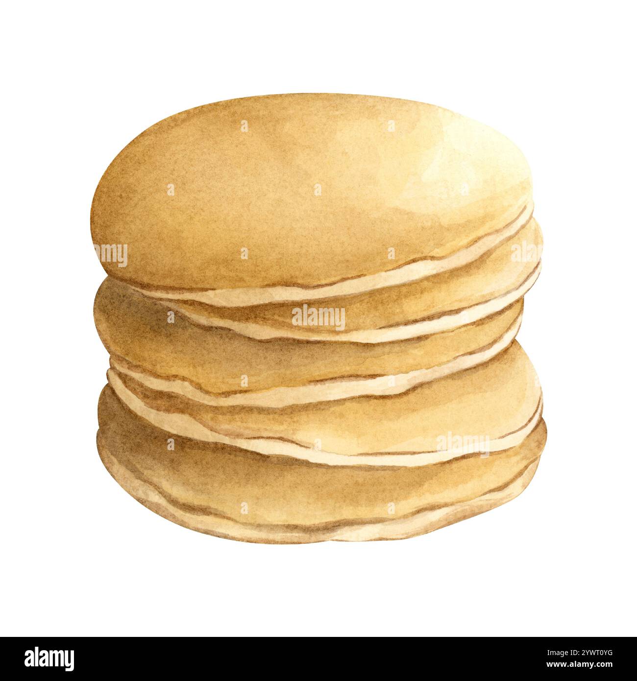Pancakes isolated illustration in realistic style. Hand drawn ...