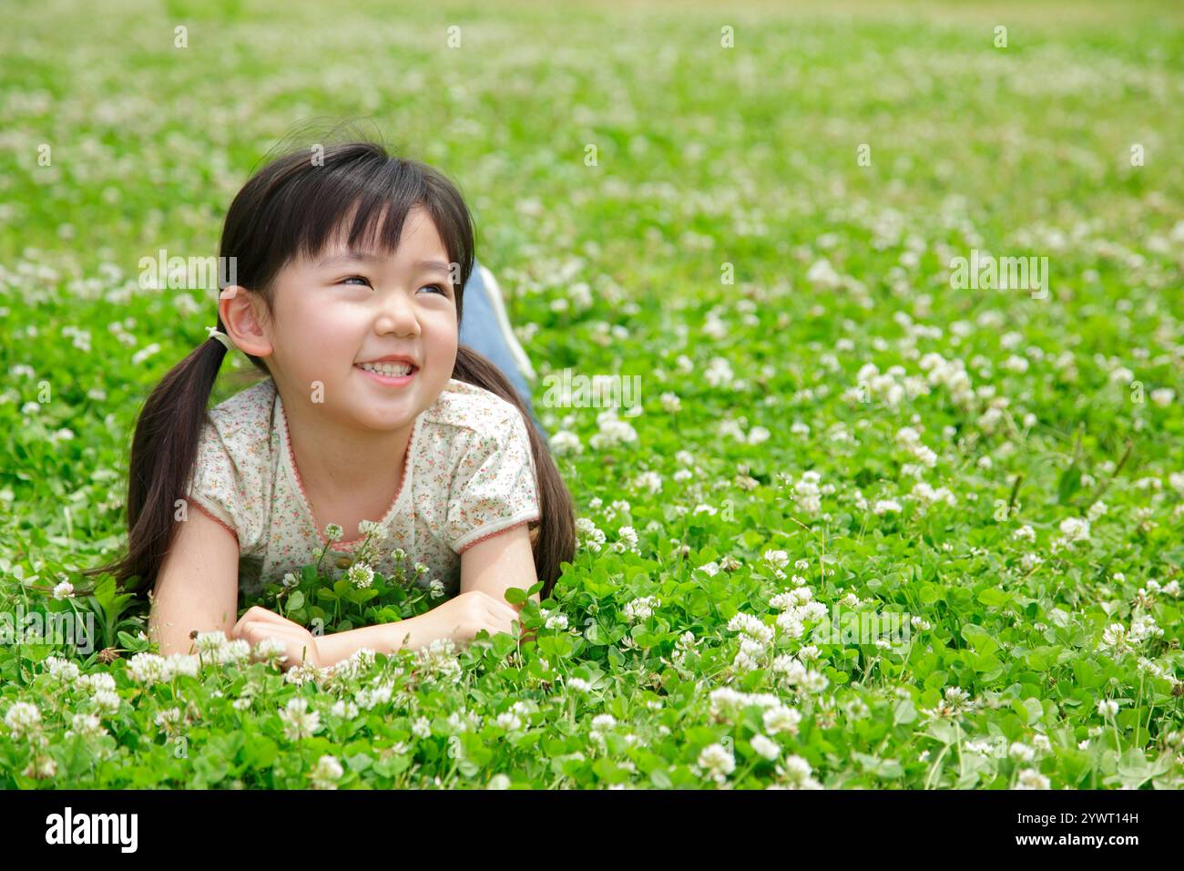 Child 3 leaf clover hi-res stock photography and images - Alamy
