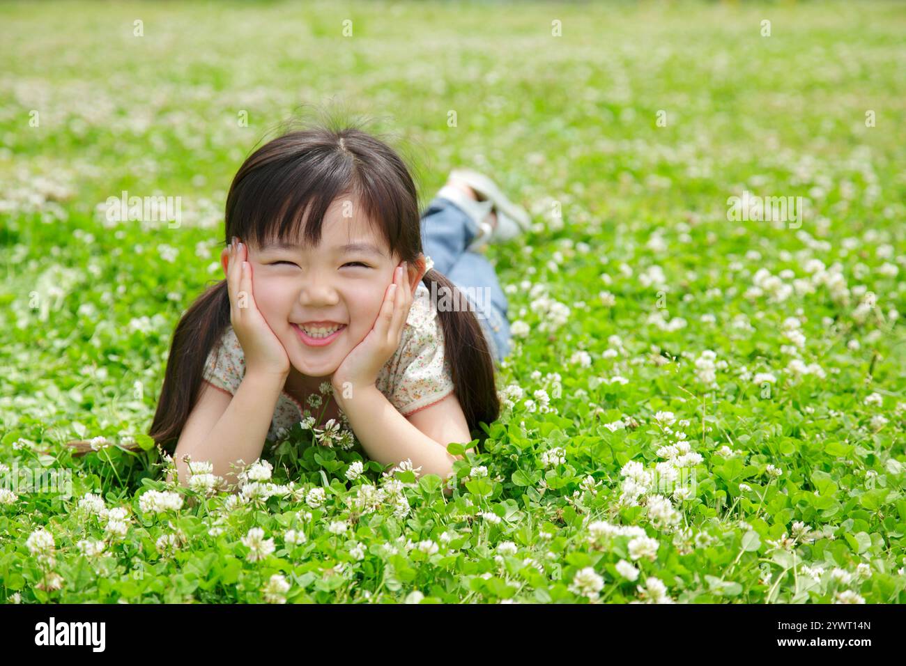 Child 3 leaf clover hi-res stock photography and images - Alamy