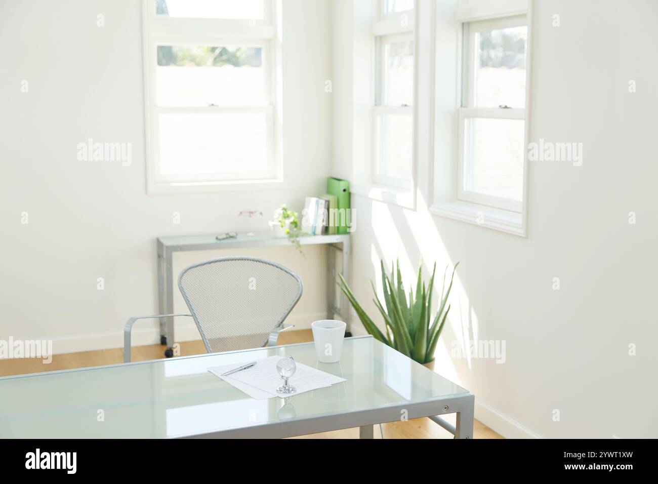 Home office shelf plants in hi-res stock photography and images - Alamy