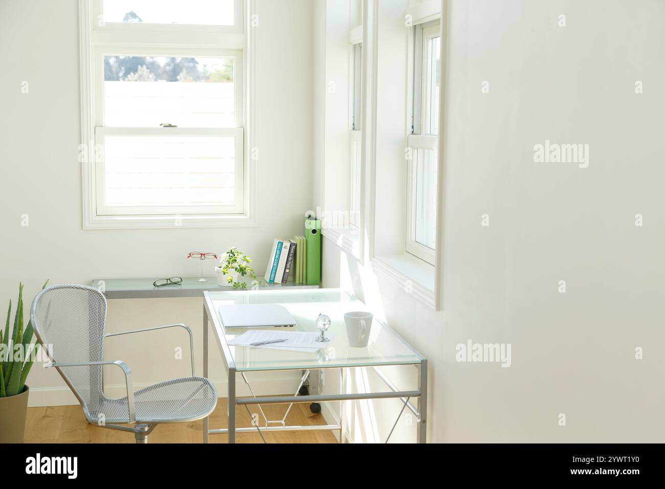 Home office shelf plants in hi-res stock photography and images - Alamy