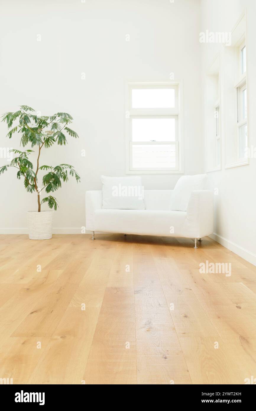 Large living room background for compositing Stock Photo - Alamy