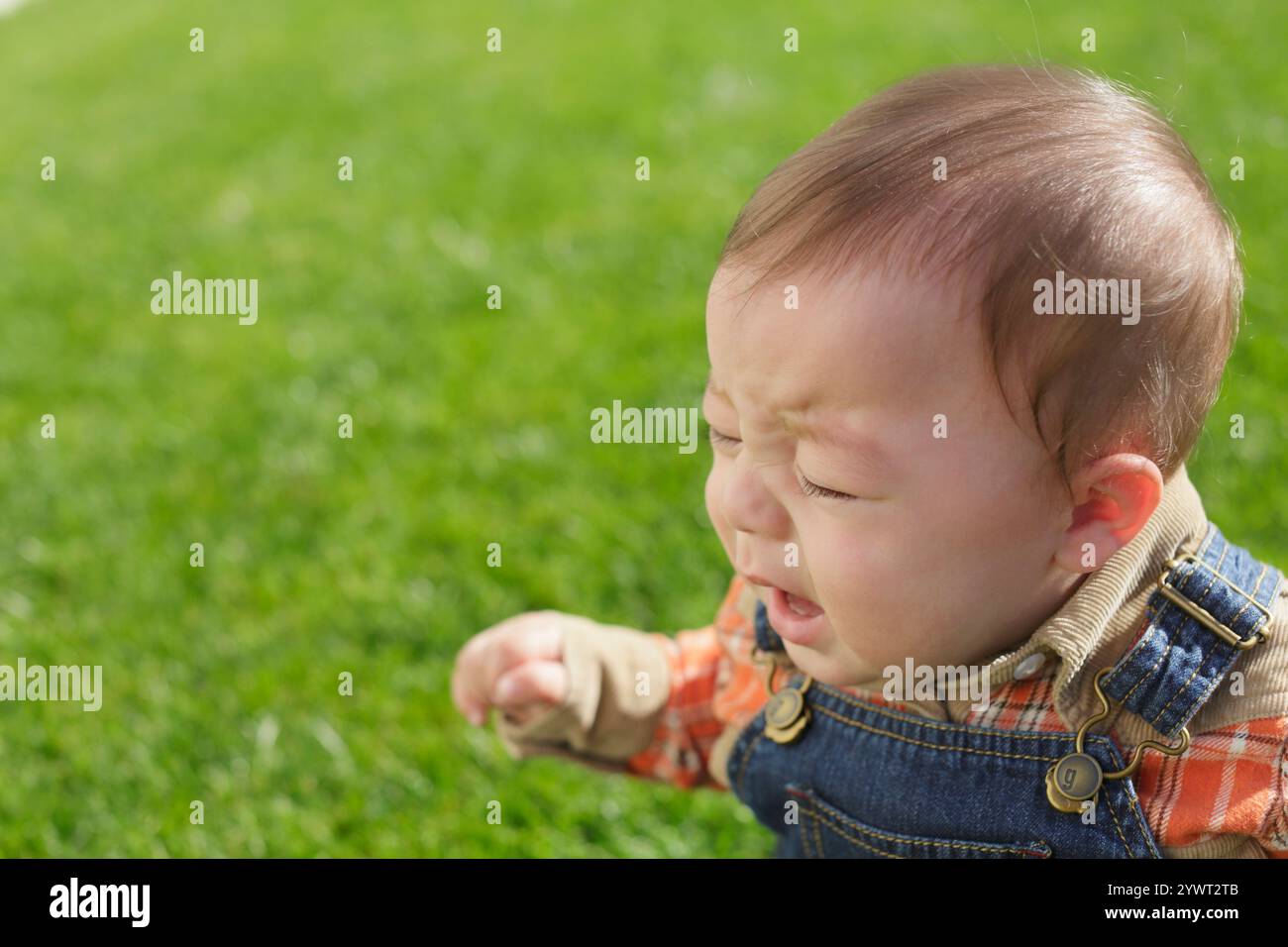 Baby sitting on lawn crying Stock Photo - Alamy