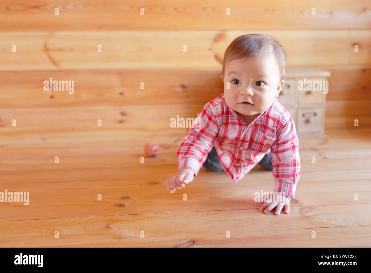 Baby infant crawling on floor hi-res stock photography and images - Alamy