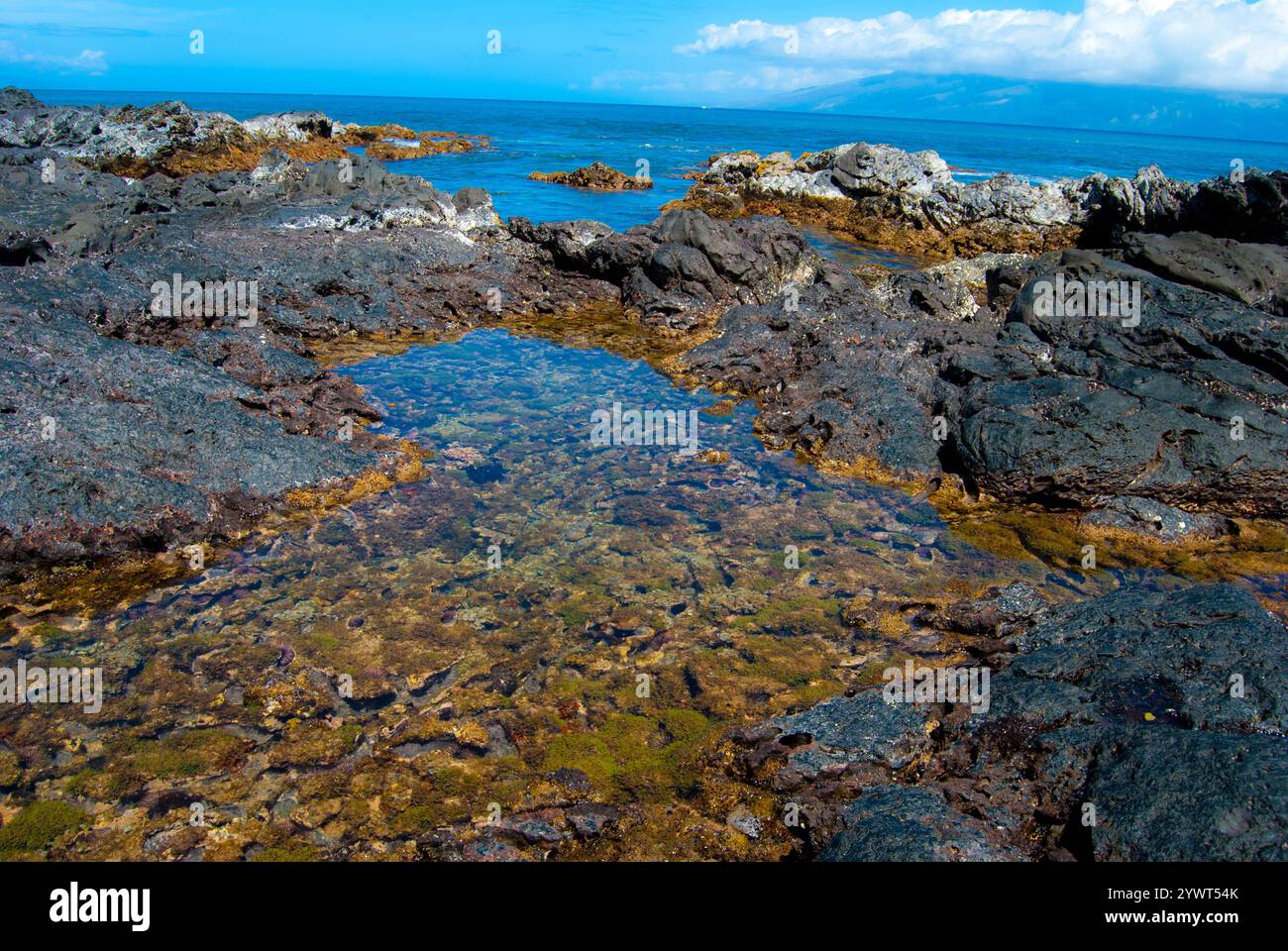 Tidepool hawaii hi-res stock photography and images - Alamy