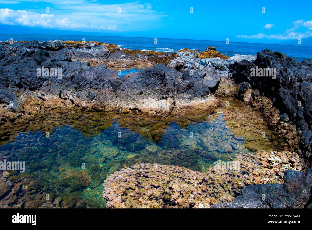 Tropical sea water in tidepools hi-res stock photography and images - Alamy