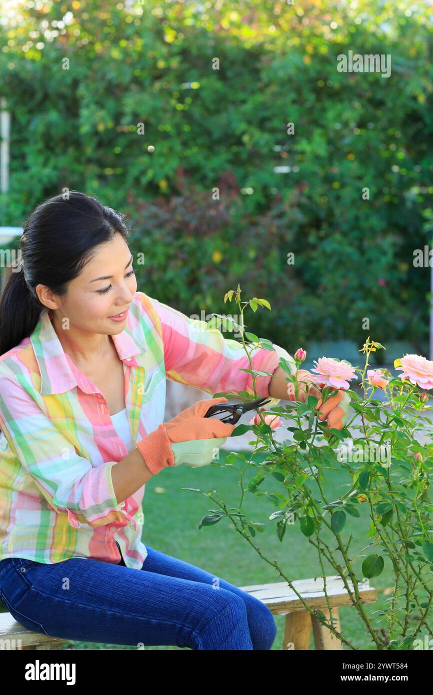 Woman tending roses hi-res stock photography and images - Alamy