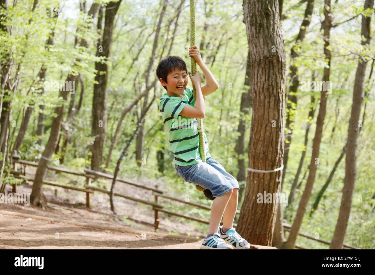 Boy playing on Tarzan rope Stock Photo - Alamy