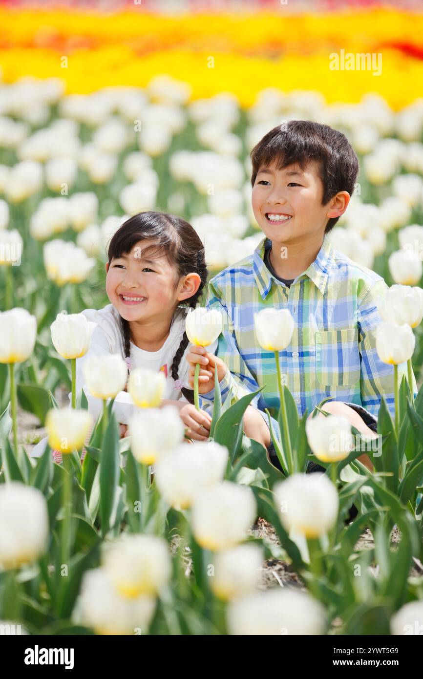 Brother and sister laughing in tulip field Stock Photo - Alamy