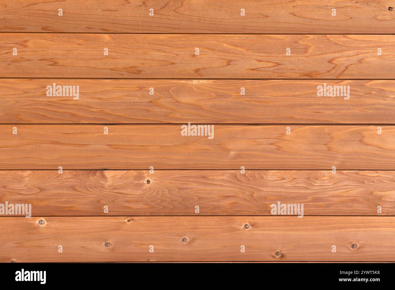 One tree and a wall hi-res stock photography and images - Alamy