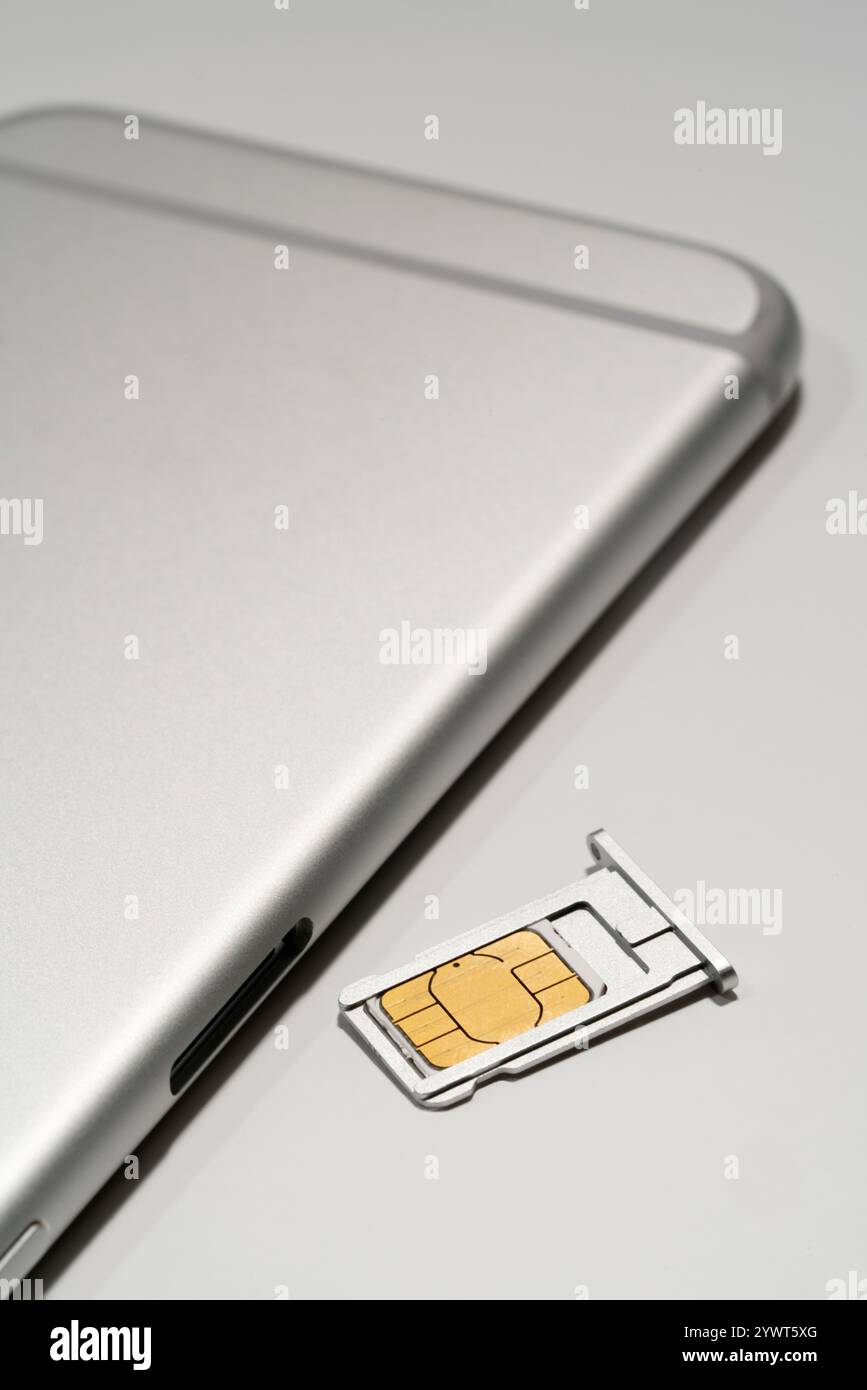 Life sim hi-res stock photography and images - Alamy