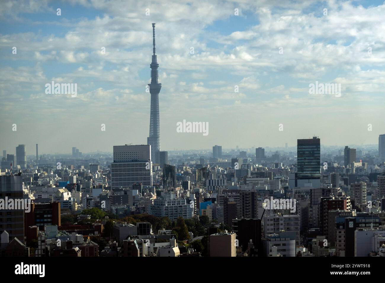 view of Tokyo skyline from the observation deck of the Bunkyo civic ...