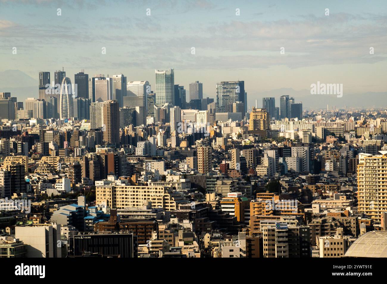 view of Tokyo skyline from the observation deck of the Bunkyo civic ...