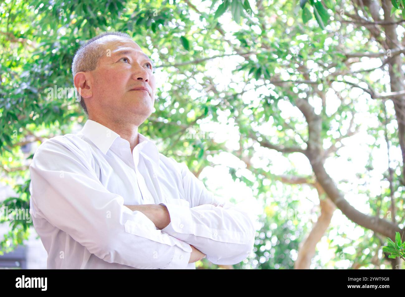 Japanese arms hi-res stock photography and images - Alamy