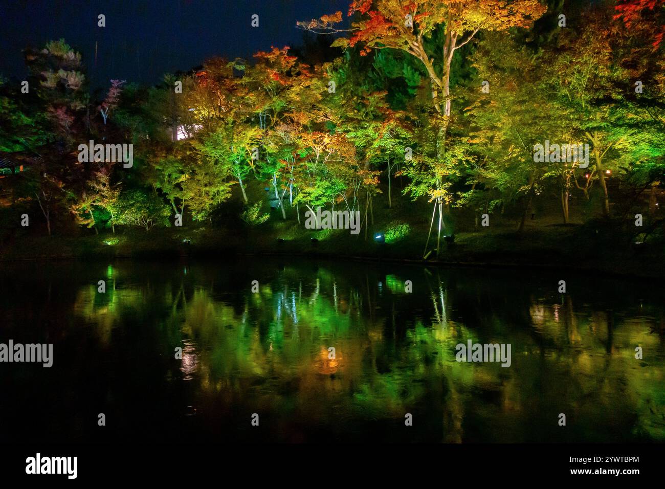 Autumn night time light show at the Kodaiji Temple in Kyoto Japan Stock ...