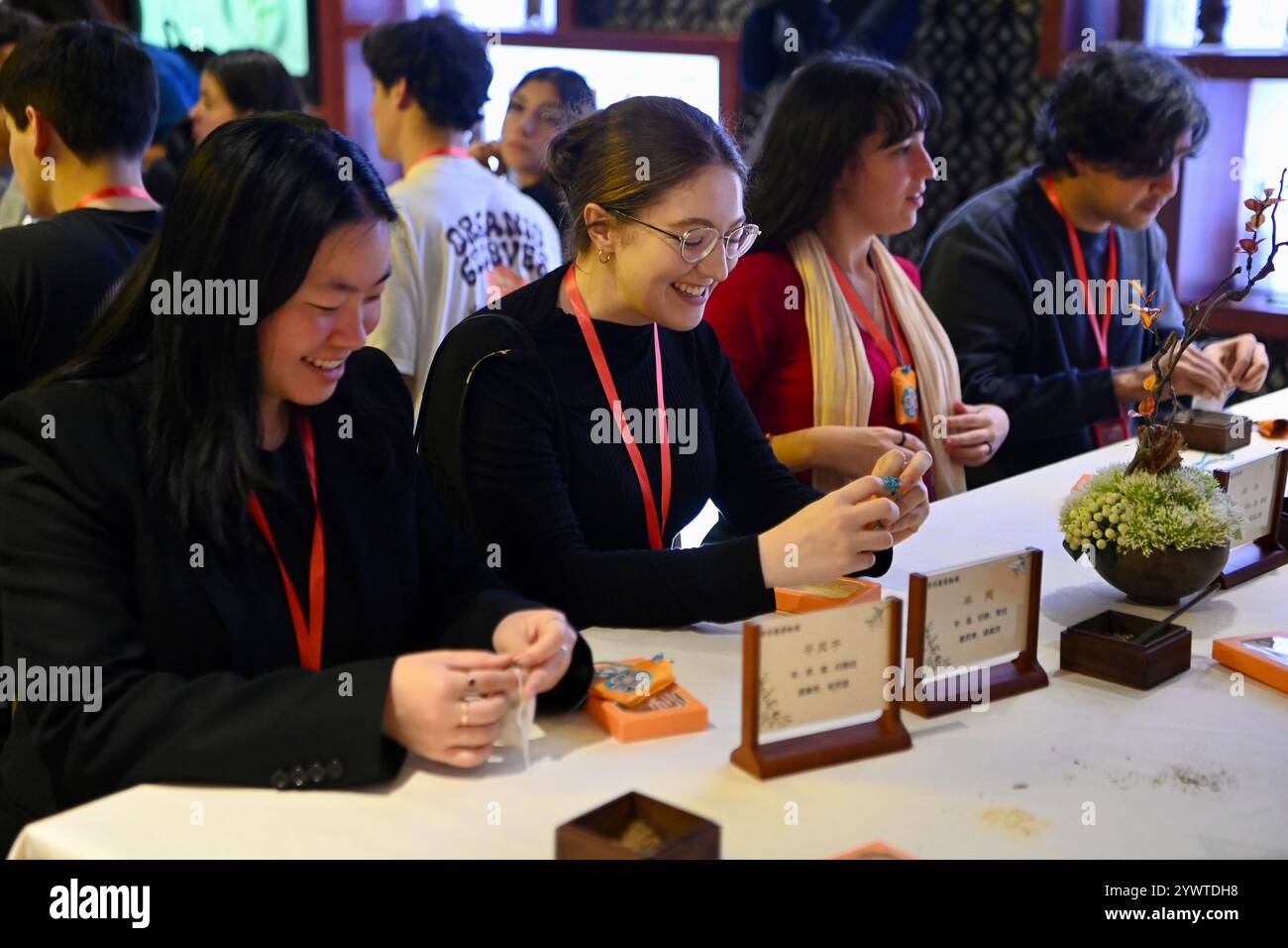 Traditional chinese patent medicines and simple preparations hi-res ...