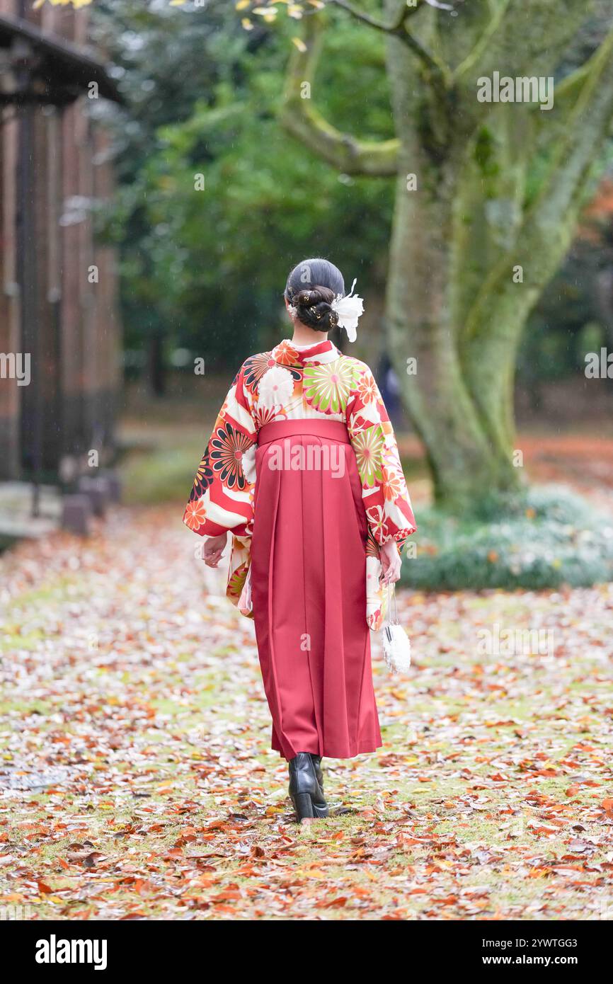 Rear view of a Japanese woman in her 20s wearing a red kimono (hakama ...