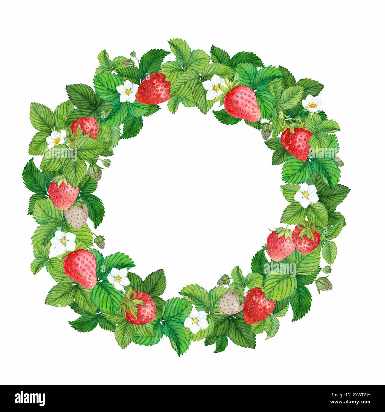 Strawberry round frame. Watercolor illustration. Clipart for tea ...