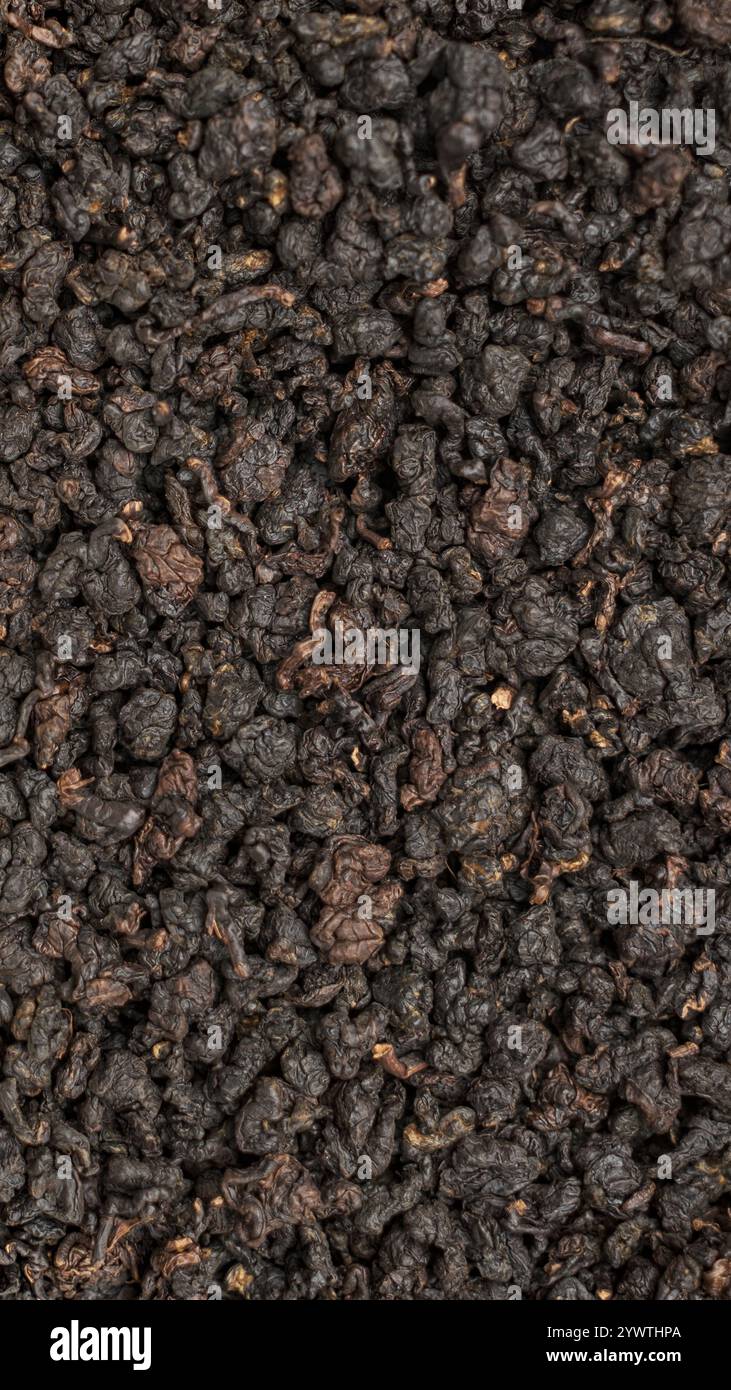 Organic Dried Black Currant Seeds Displayed on a Dark Background for a ...
