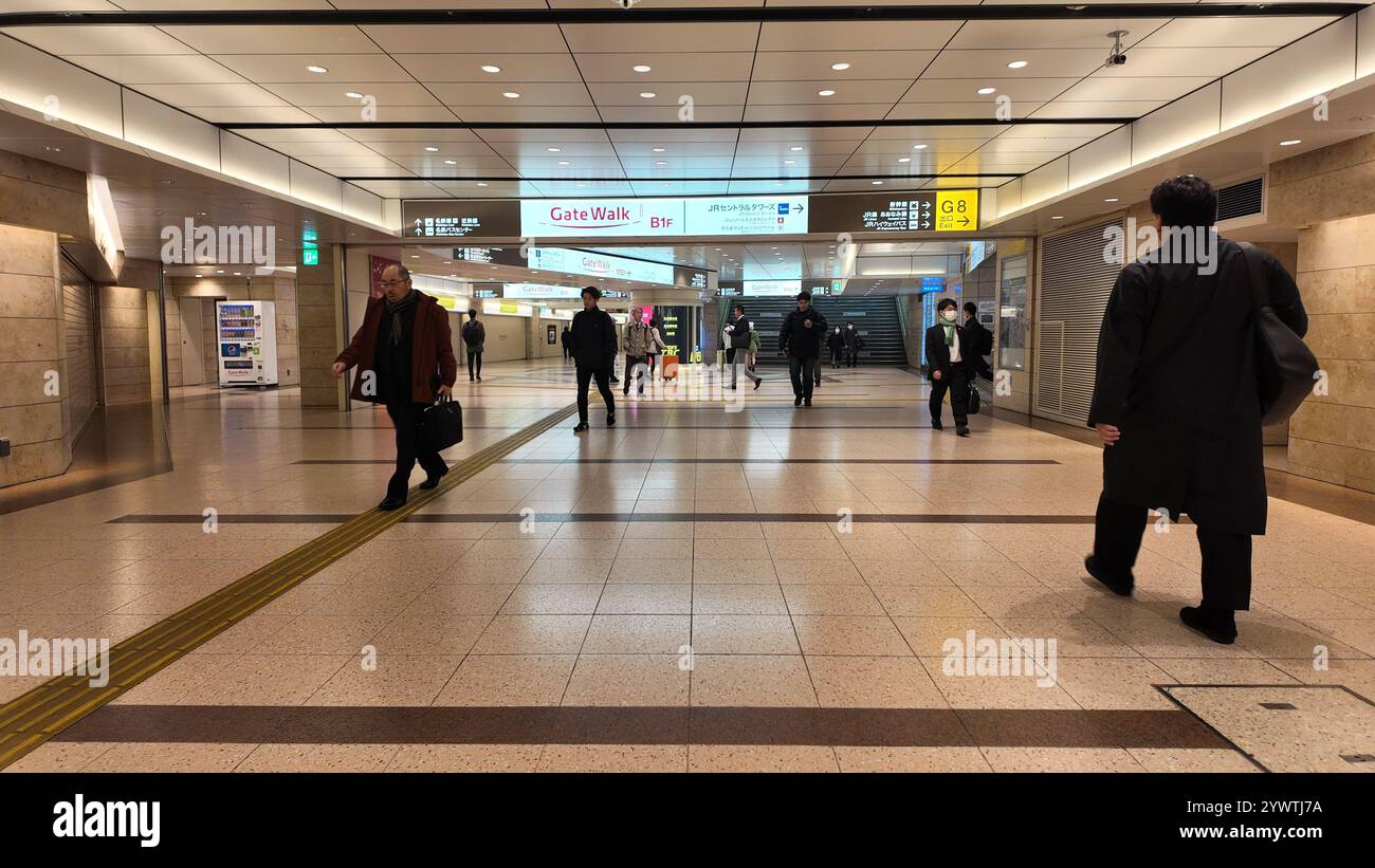 Tokyo japan december 2024 train hi-res stock photography and images - Alamy