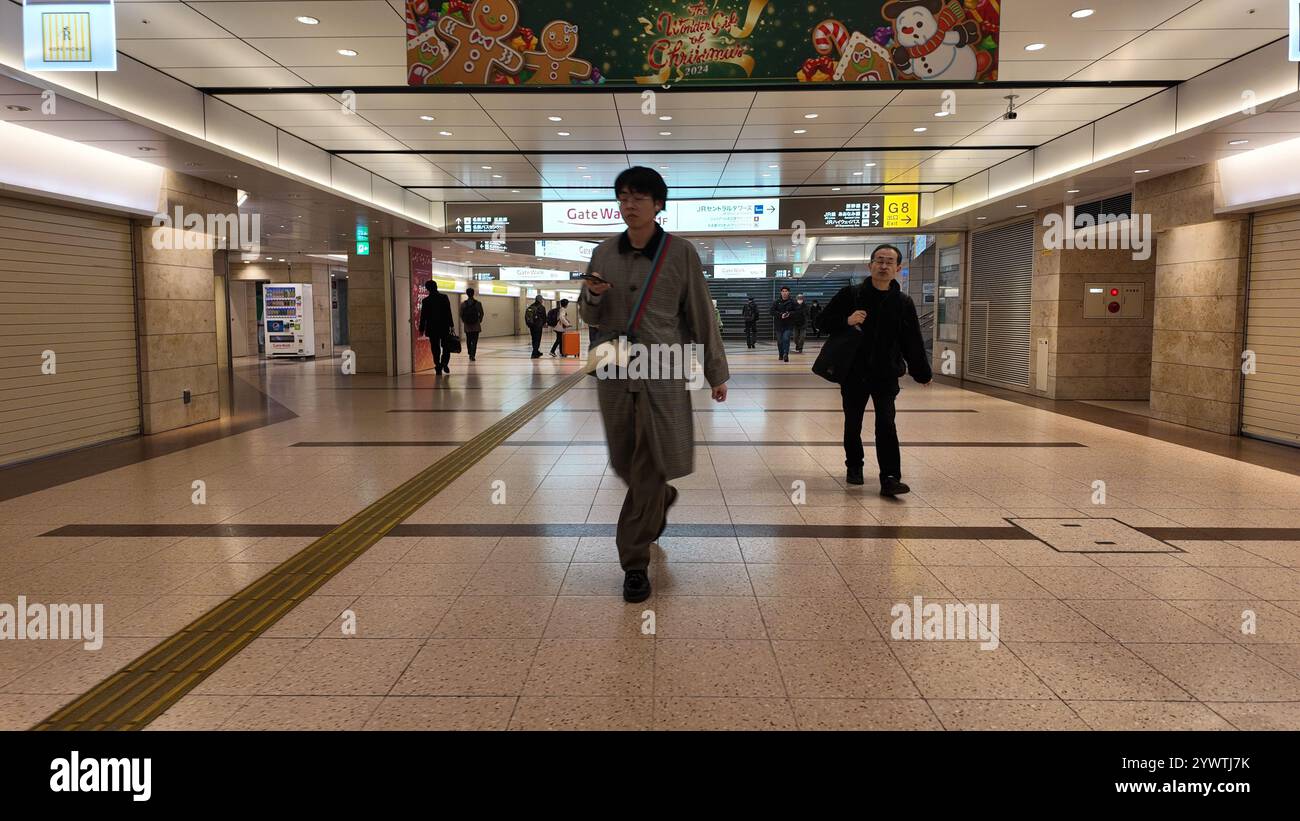 Tokyo japan december 2024 train hi-res stock photography and images - Alamy