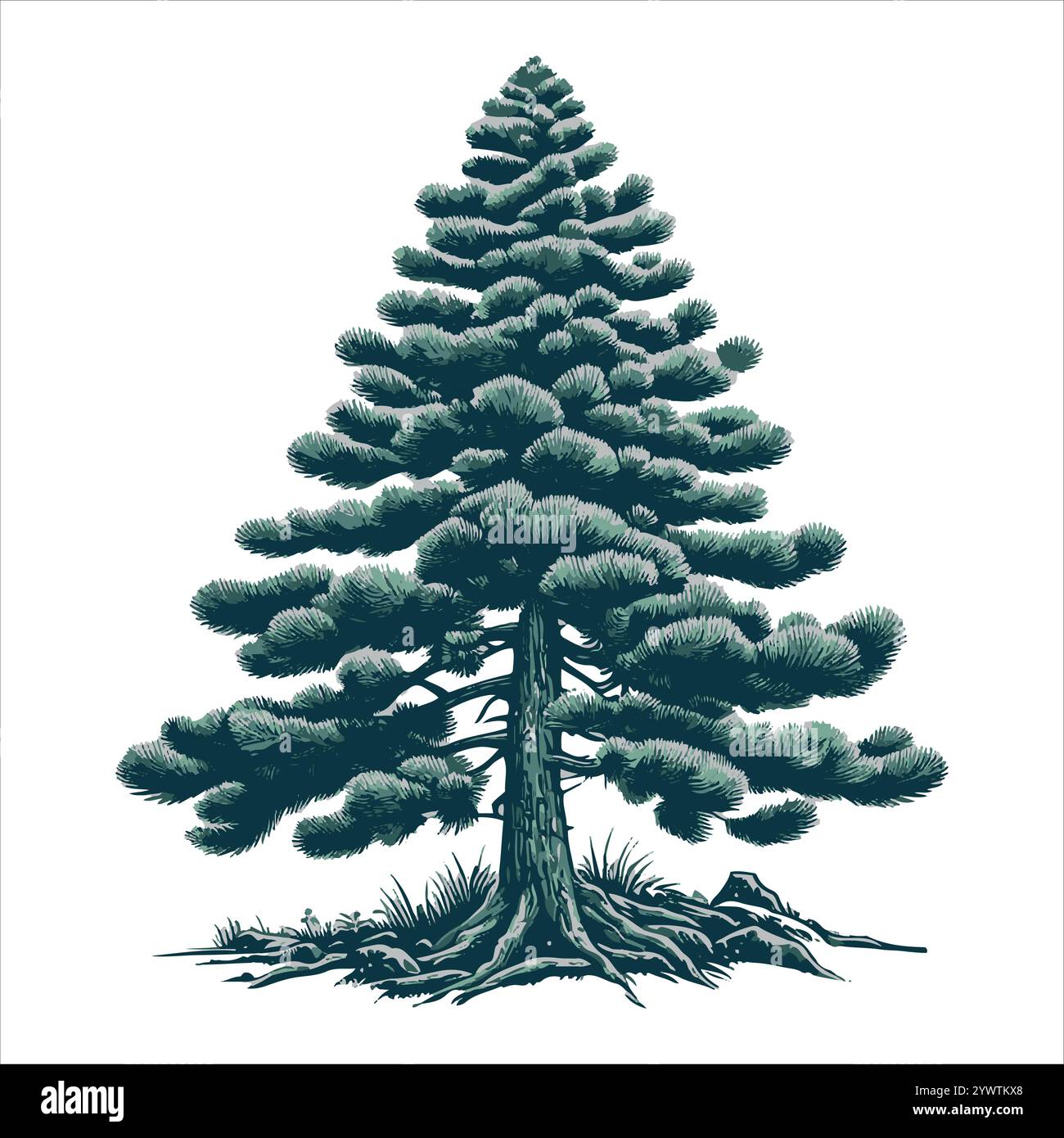 silhouette blue color tree vector style with white background Stock ...