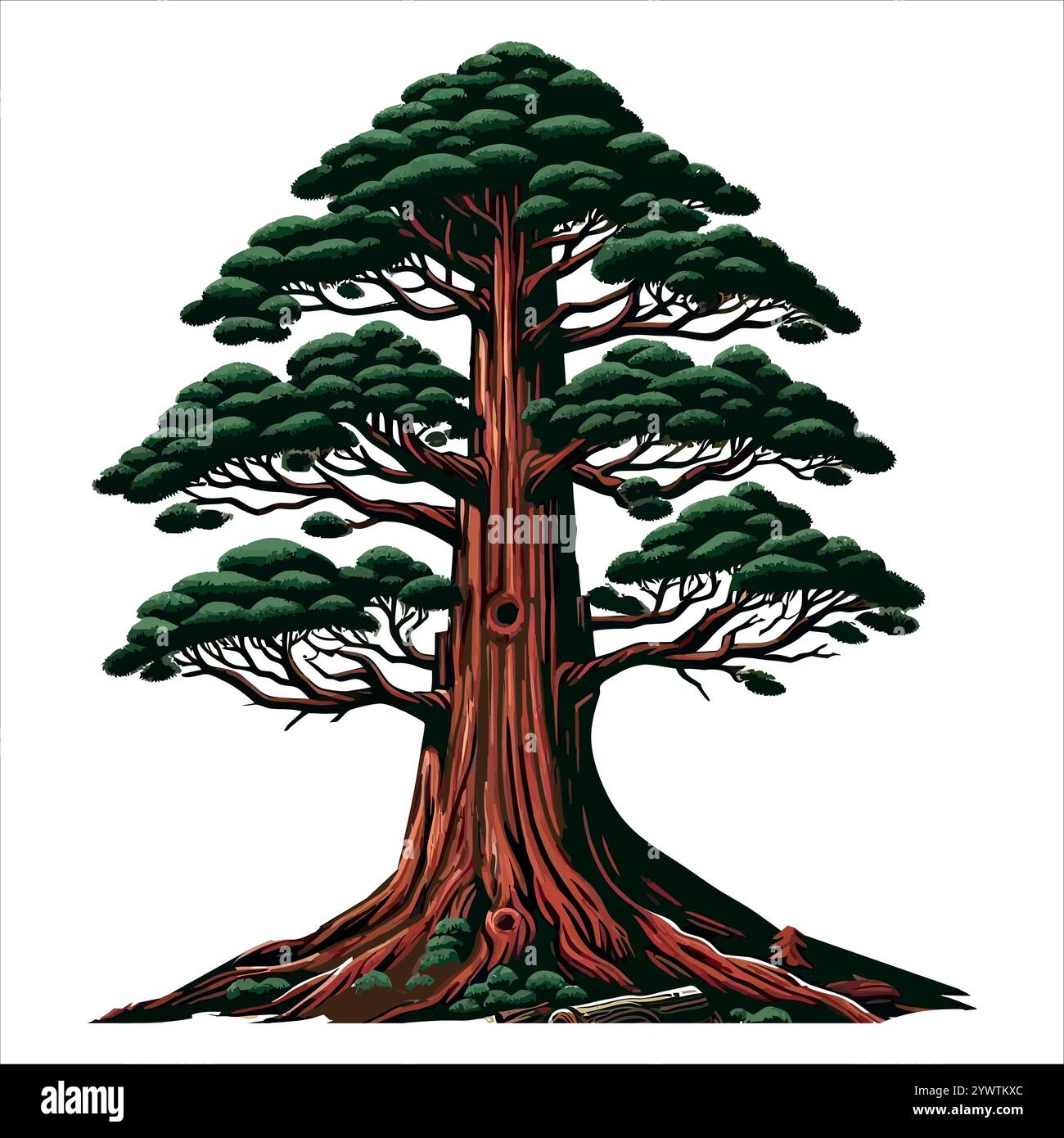 Eye catching tree vector hi-res stock photography and images - Alamy