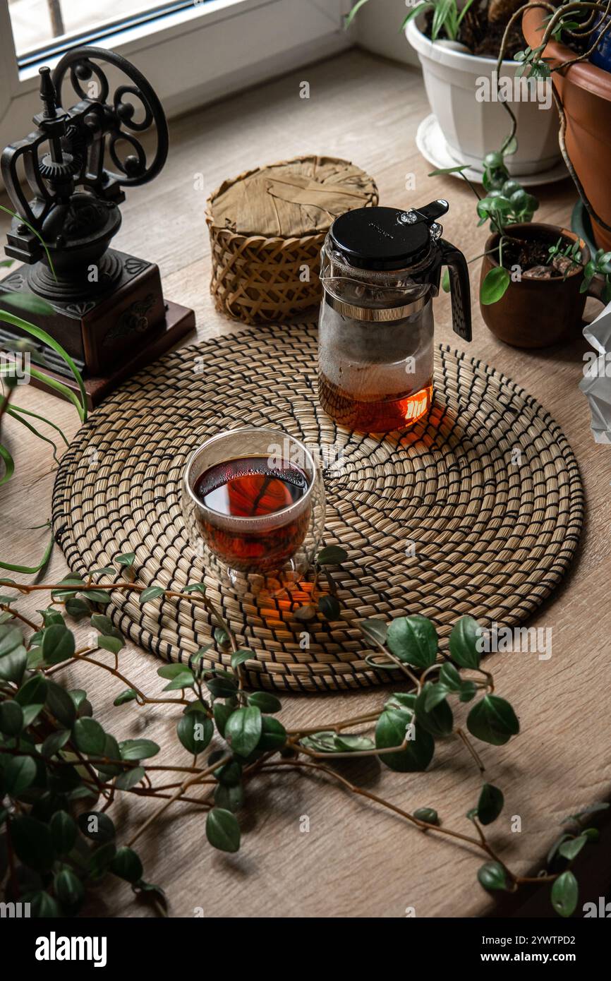 Creating a Relaxing Tea Setup with Beautiful Plants and a Cozy ...