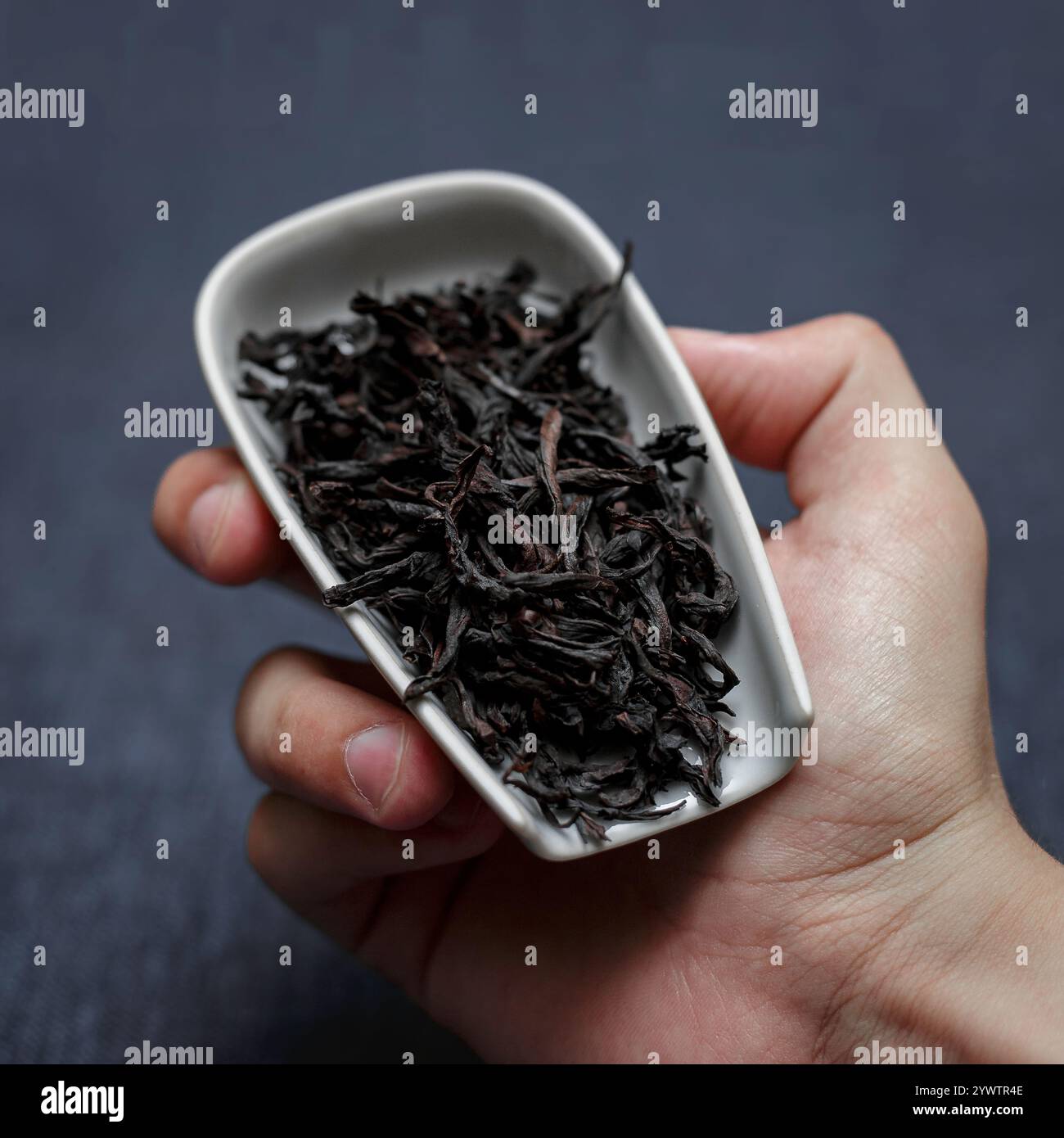 Carefully Dried Black Tea Leaves Displayed in a Handheld Bowl for All ...