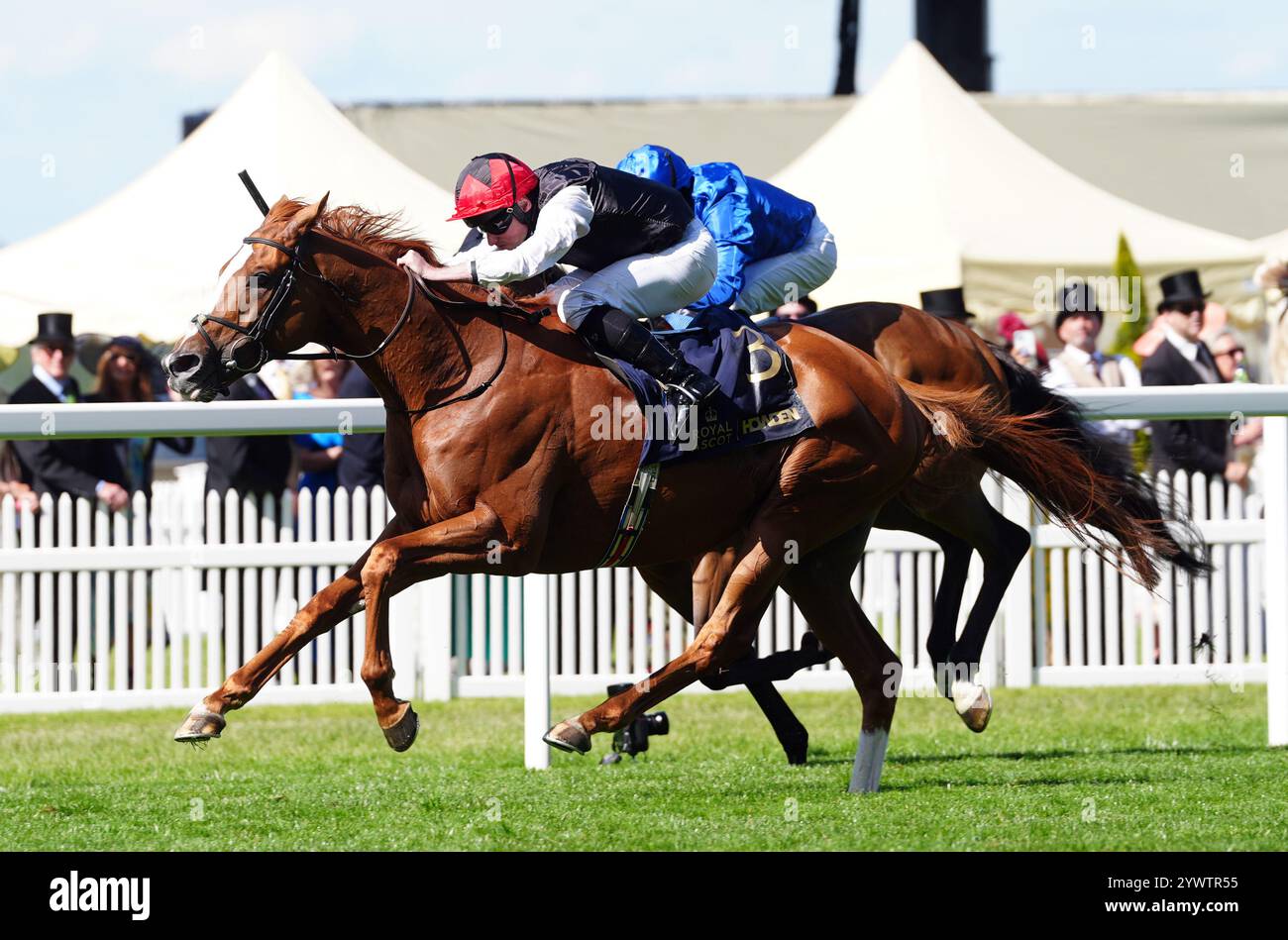Aidan o'brien ascot gold cup hi-res stock photography and images - Alamy