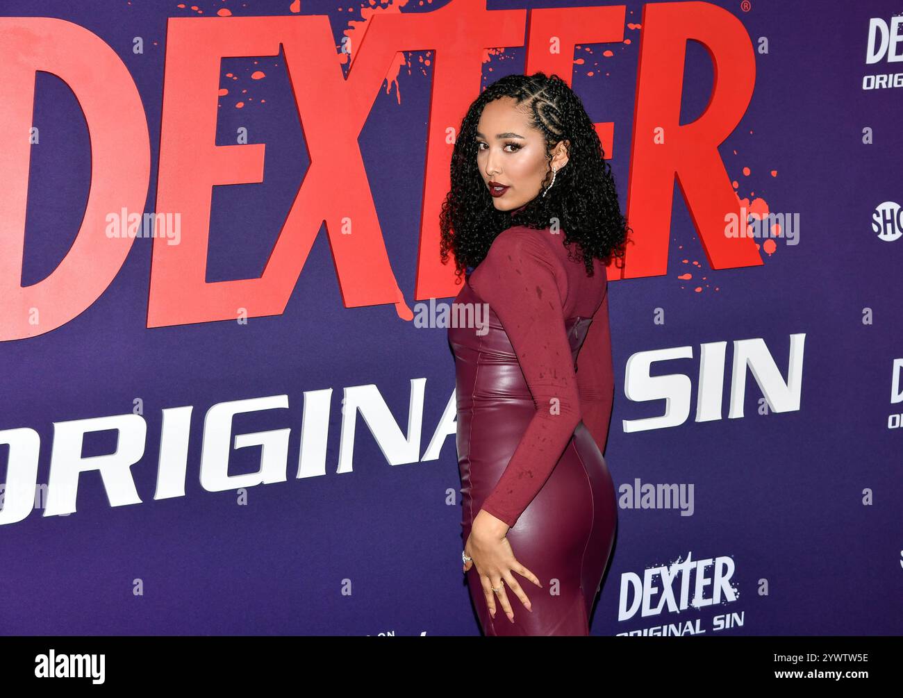 Raquel Justice attends the premiere of the Showtime drama series ...