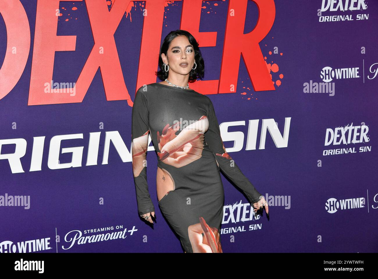 Carlye Tamaren attends the premiere of the Showtime drama series ...