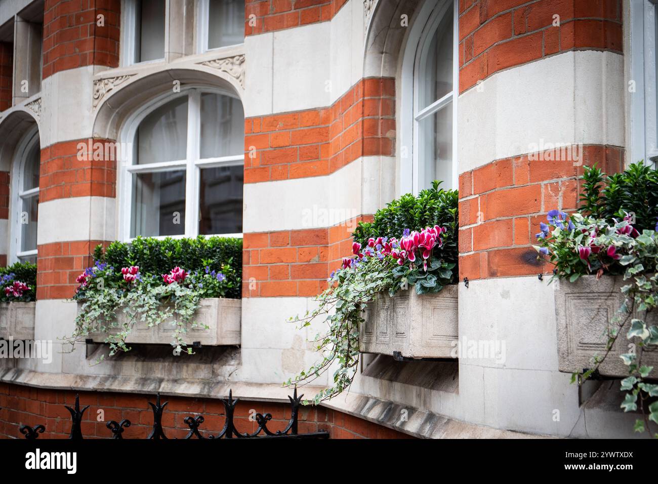 Concrete flower pot with beautiful flowers on an outdoor window sill ...