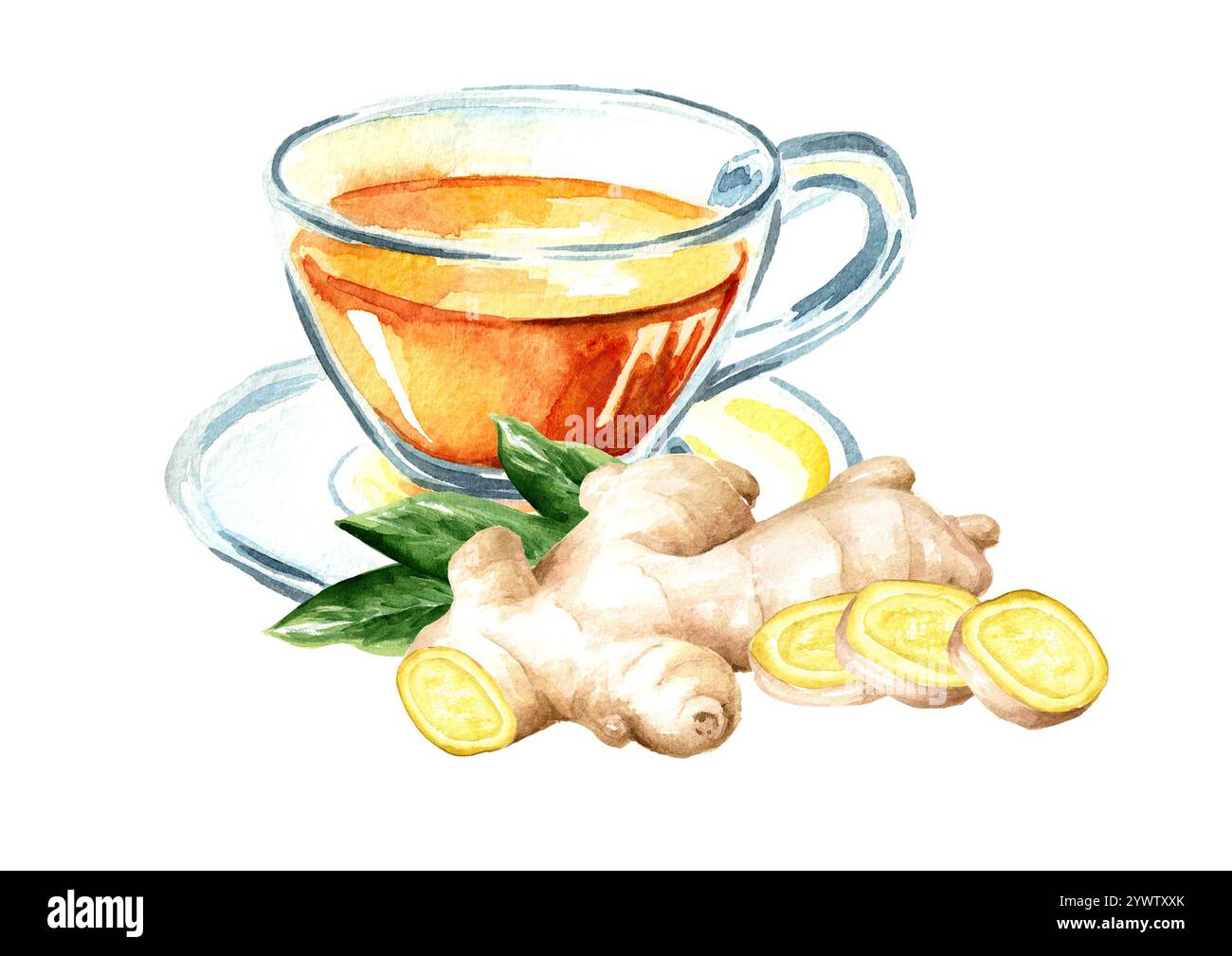 Ginger tea in the cuo and, Ginger root, concept of healthy drink ...