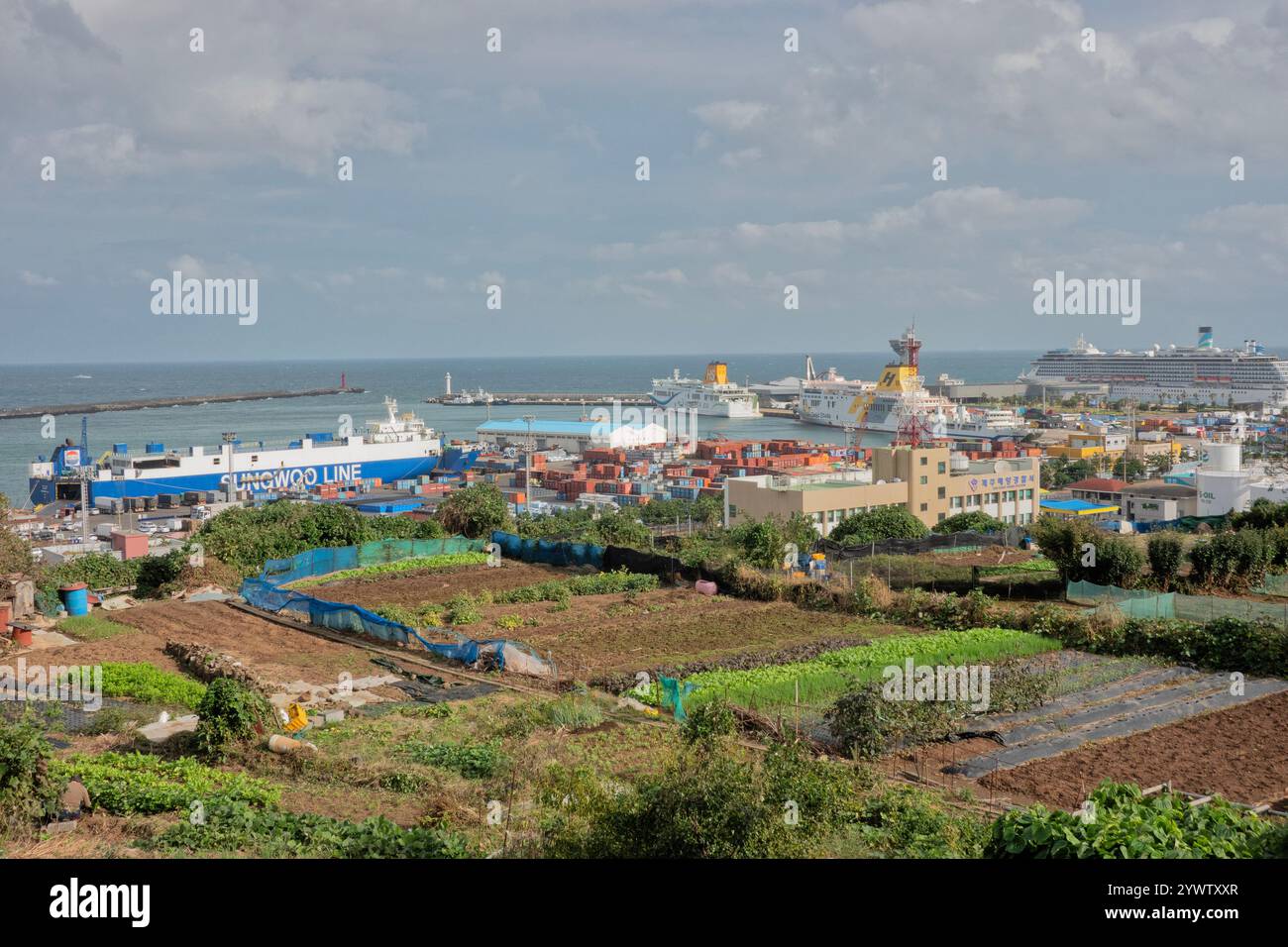 Jeju port hi-res stock photography and images - Alamy