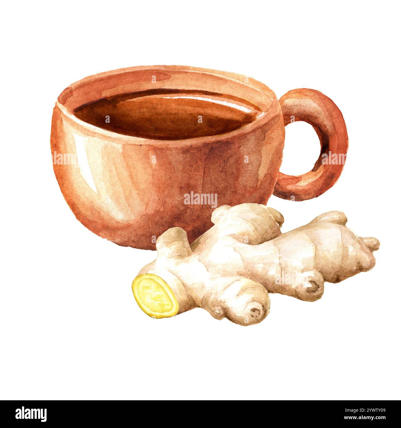 Ginger tea, concept of healthy drink. Watercolor hand drawn ...