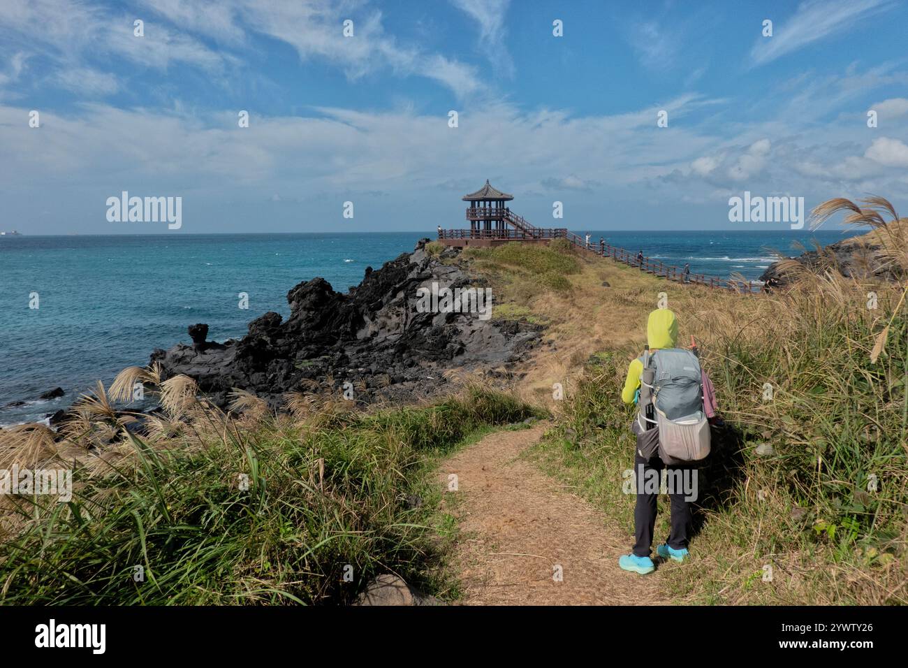 The windy and volcanic coastline along the Jeju Olle Trail, Jeju Island ...