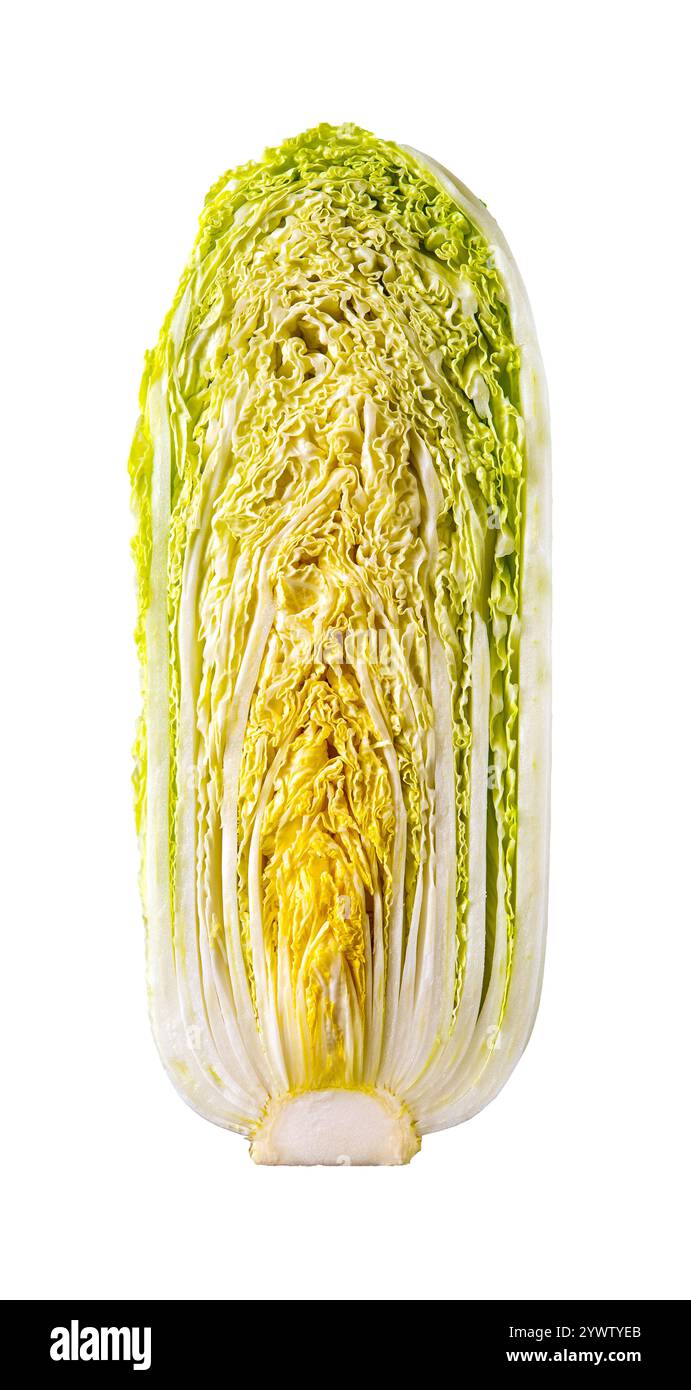 Half of napa cabbage isolated on a white background. Cross section of ...