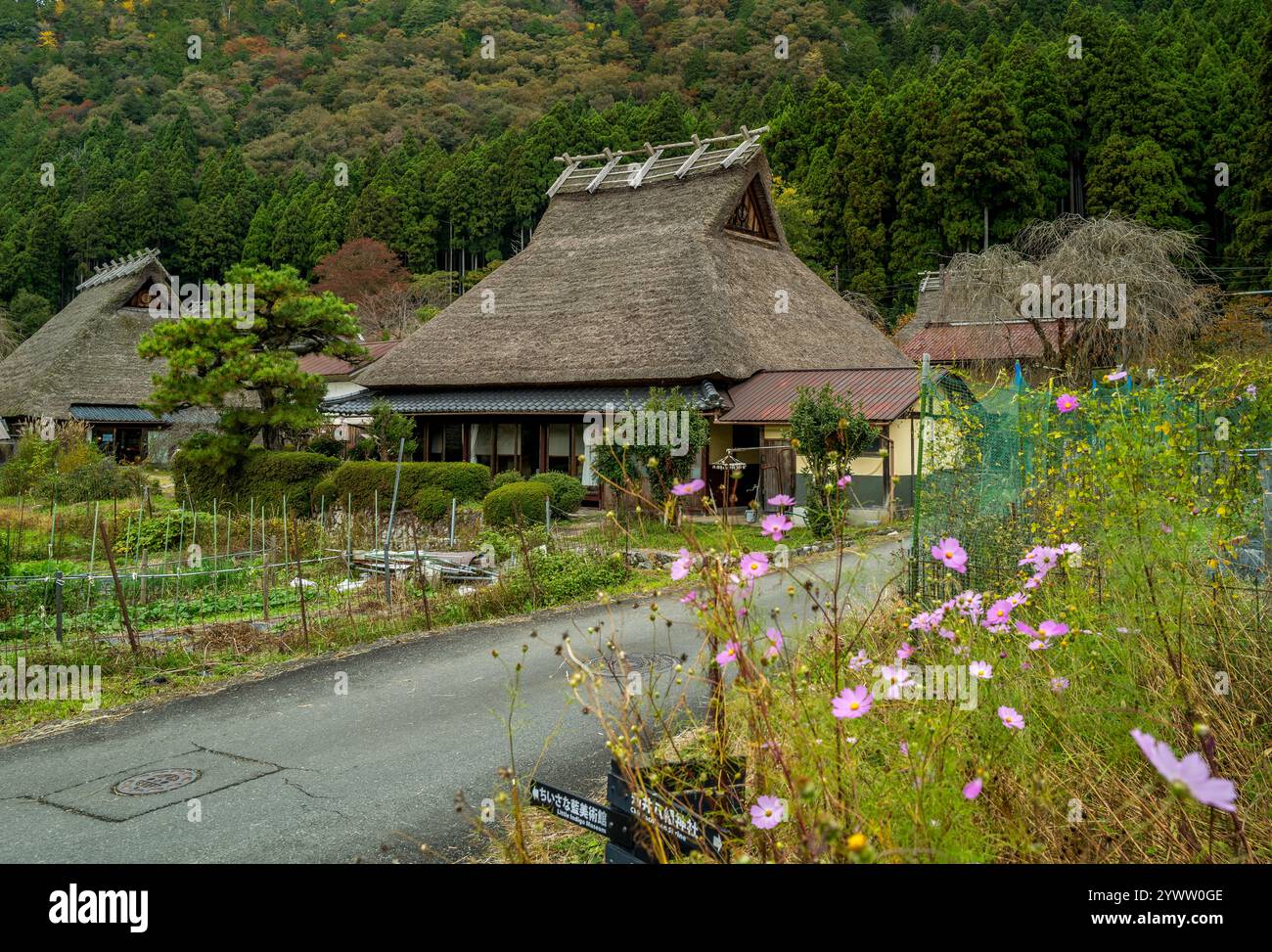 Miyama, a rural japanese town with traditional houses and thatched roofs near Kyoto Stock Photo ...