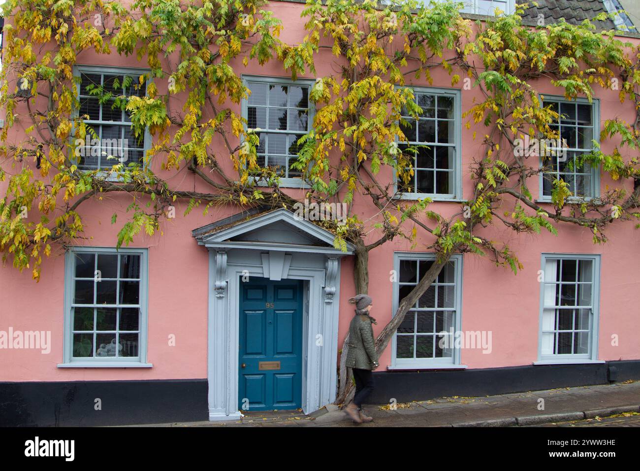 Pink building covered in Wisteria, Pottergate, Norwich Stock Photo - Alamy