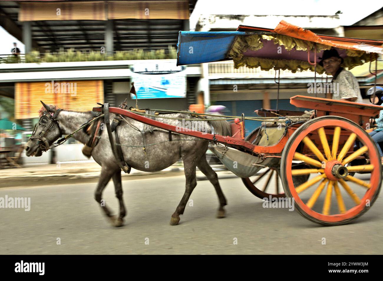 A horse-pulled rickshaw moving on a road in Sungai Penuh, Jambi ...