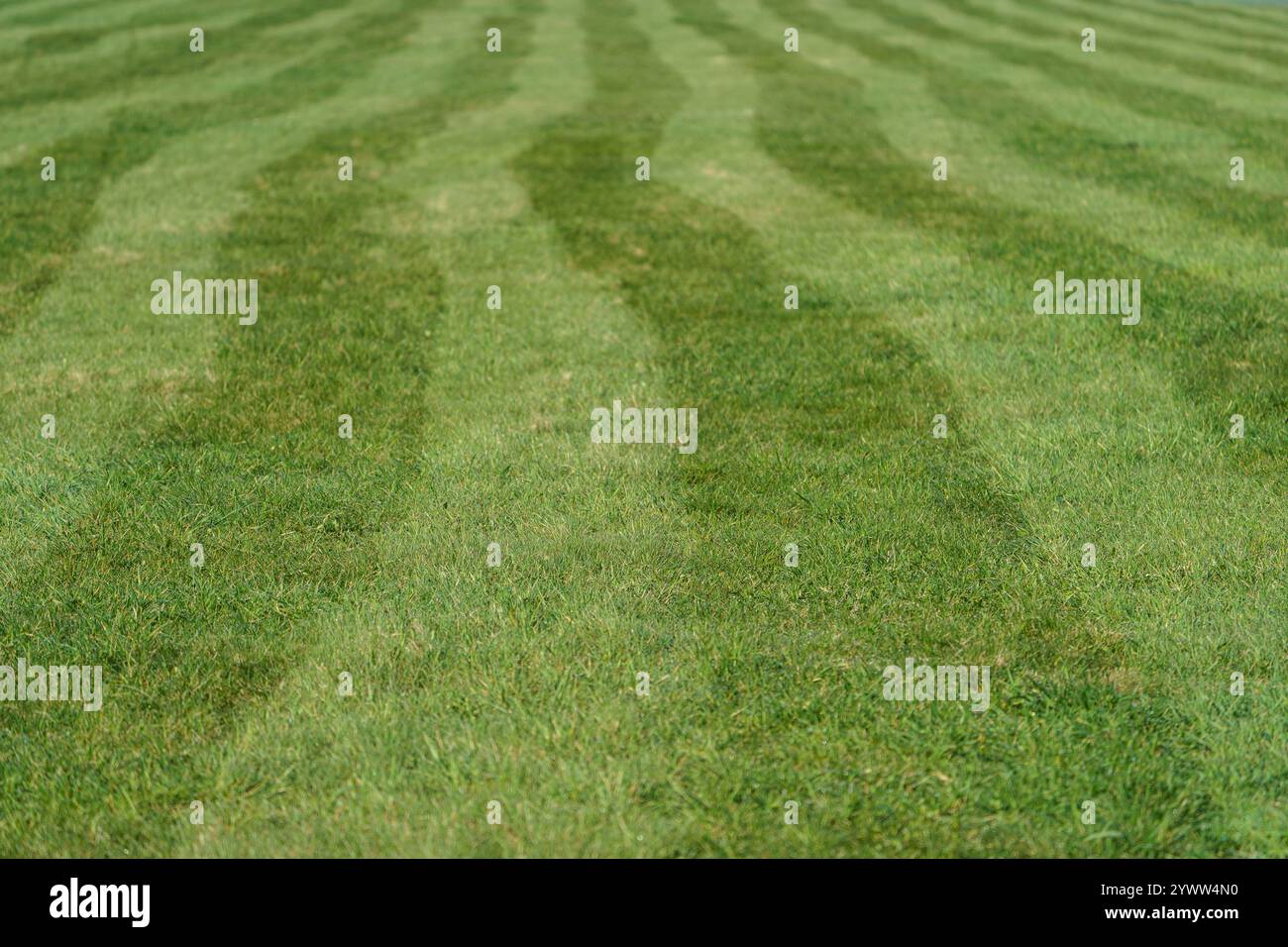 Stripes in mowed grass hi-res stock photography and images - Alamy