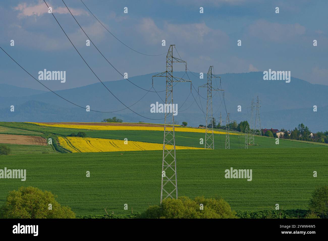 rows of power pylons running through picturesque fields Stock Photo - Alamy