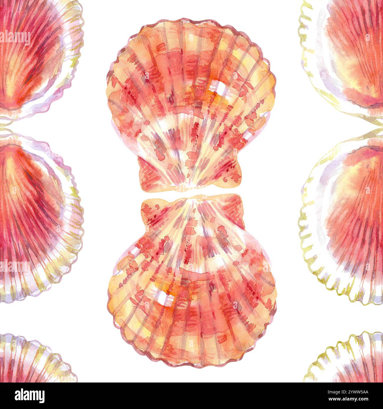 Seamless pattern of scallop, bivalve marine mollusk, grooved shell in ...